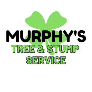Murphy's Tree & Stump Services Maitland | Qualifed Arborist