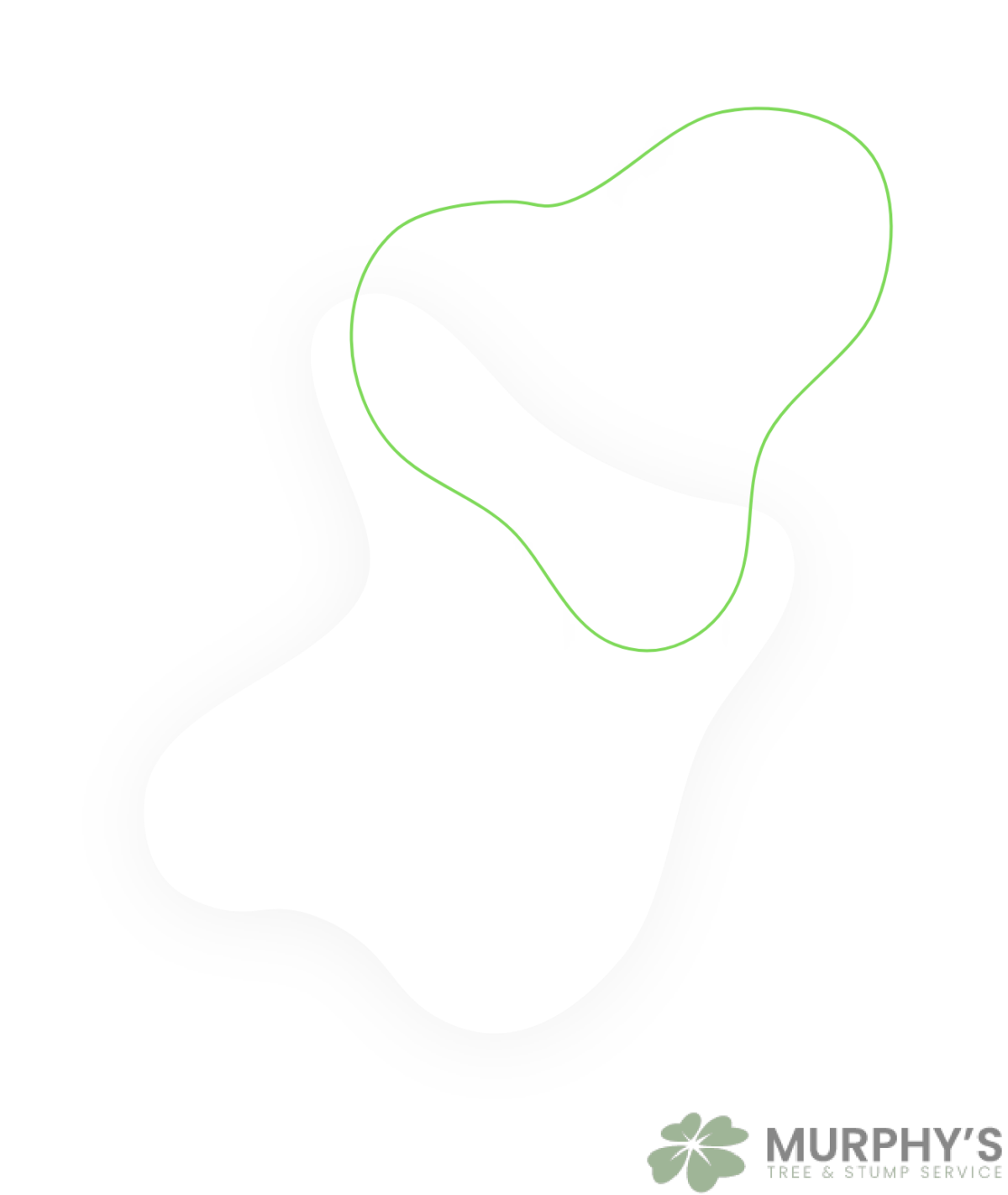 Murphy's Tree & Stump Services Maitland | Qualifed Arborist