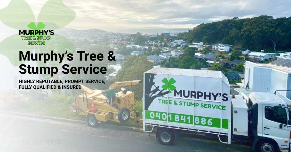 Murphy's Tree & Stump Service: Tree Removal Maitland